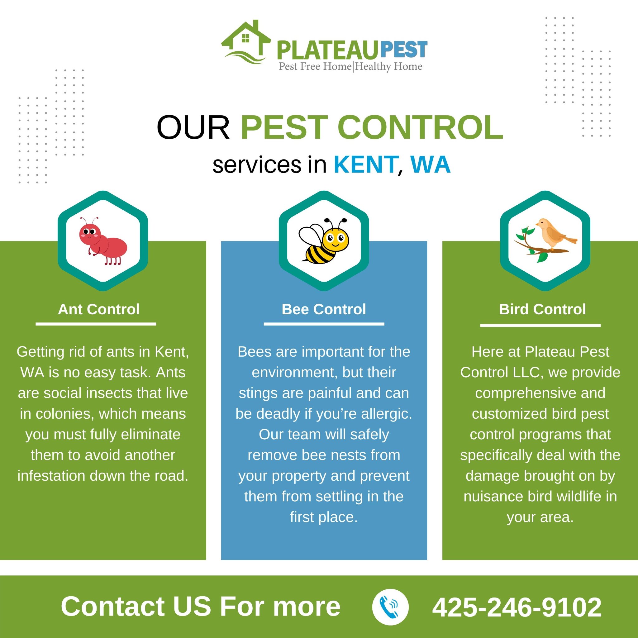 Blog - Plateau Pest Control LLC